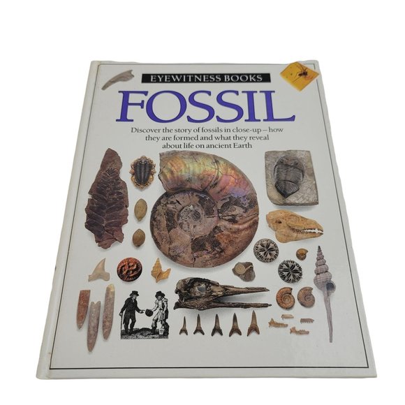 Other | Vintage 199 Dk Eyewitness Books Fossil By Paul D Taylor Hardcover Book | Poshmark